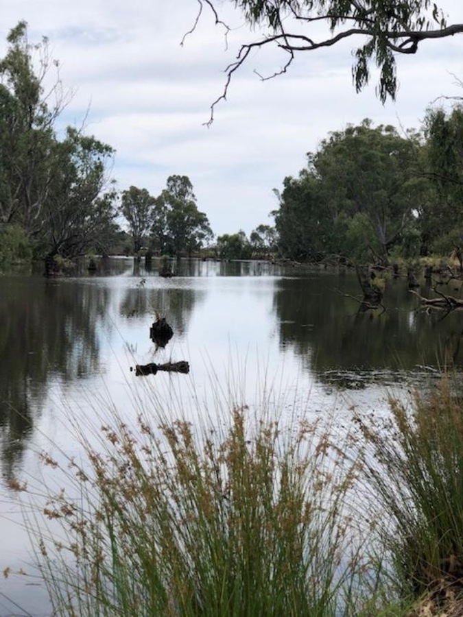 Review: GABCY Bakery Tour – Phil – Nix-Tracks