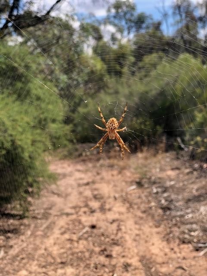 Review: GABCY Bakery Tour – Phil – Nix-Tracks