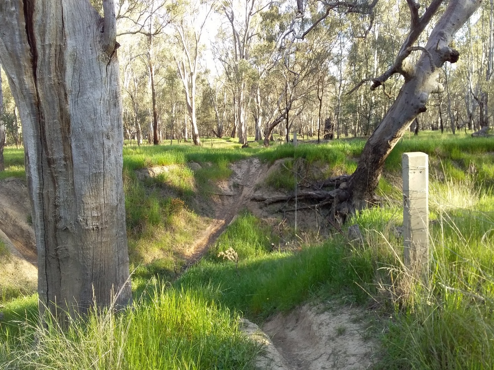 Technical: Yellowbelly Track gullies – Nix-Tracks